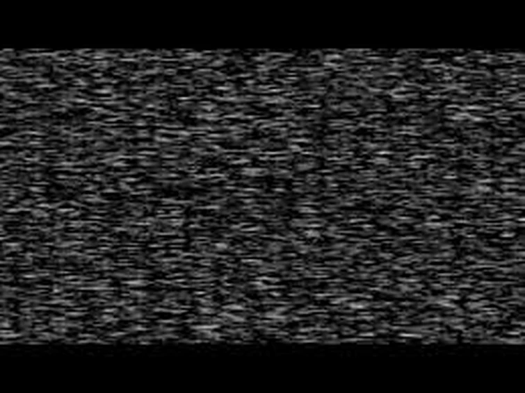You can call me crazy but,why i see a goat on fnaf 2 static? | Fandom