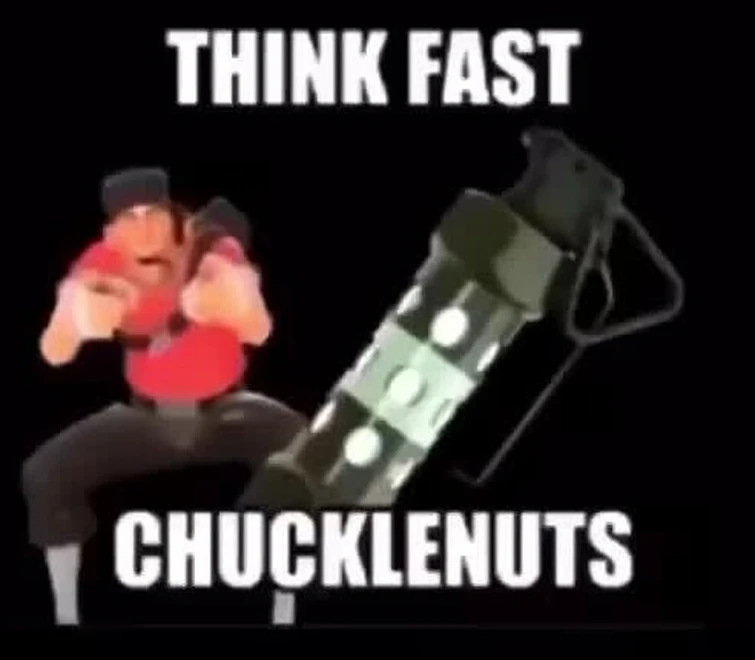 scout from tf2 | Fandom