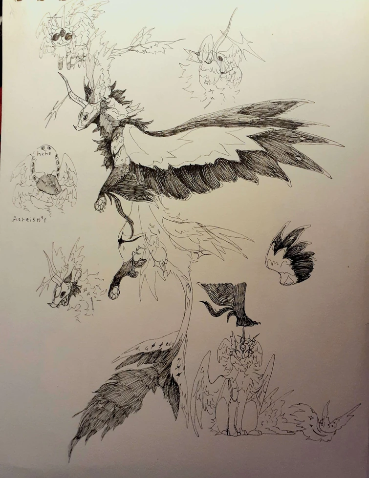 CoS sona design I just made last night + Aer doodles | Fandom