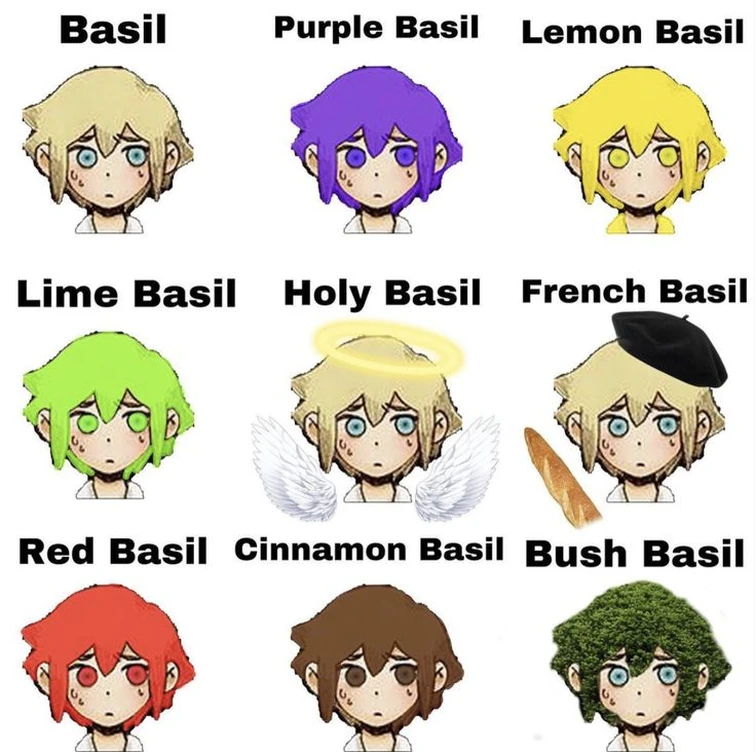 basil images | Fandom