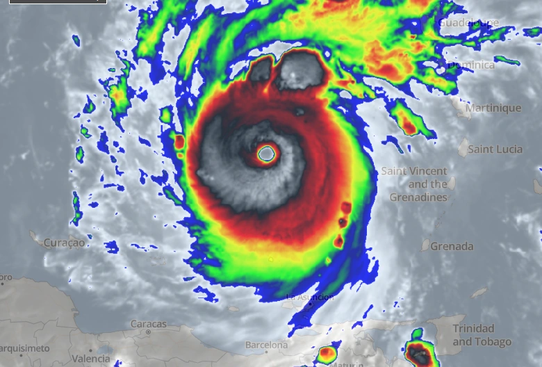 BERYL UPDATE | Fandom