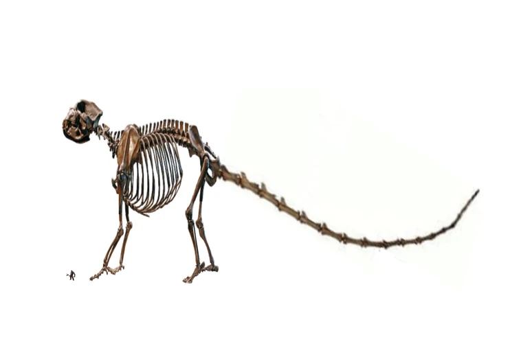 My recreation of the giant monster from GXK | Fandom