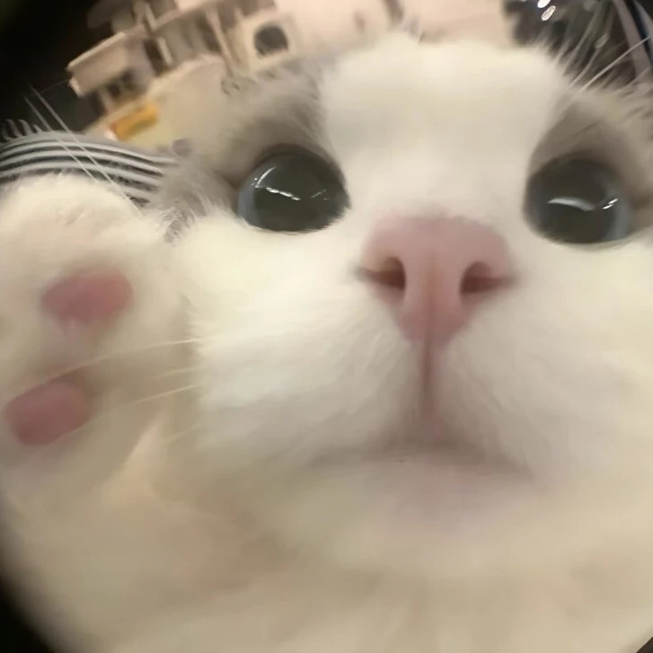 Hewwo | Fandom