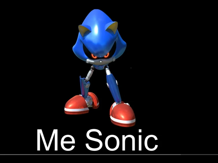 Discuss Everything About Sonic Wiki Zone | Fandom