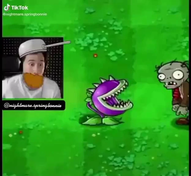 Just some random PVZ memes | Fandom