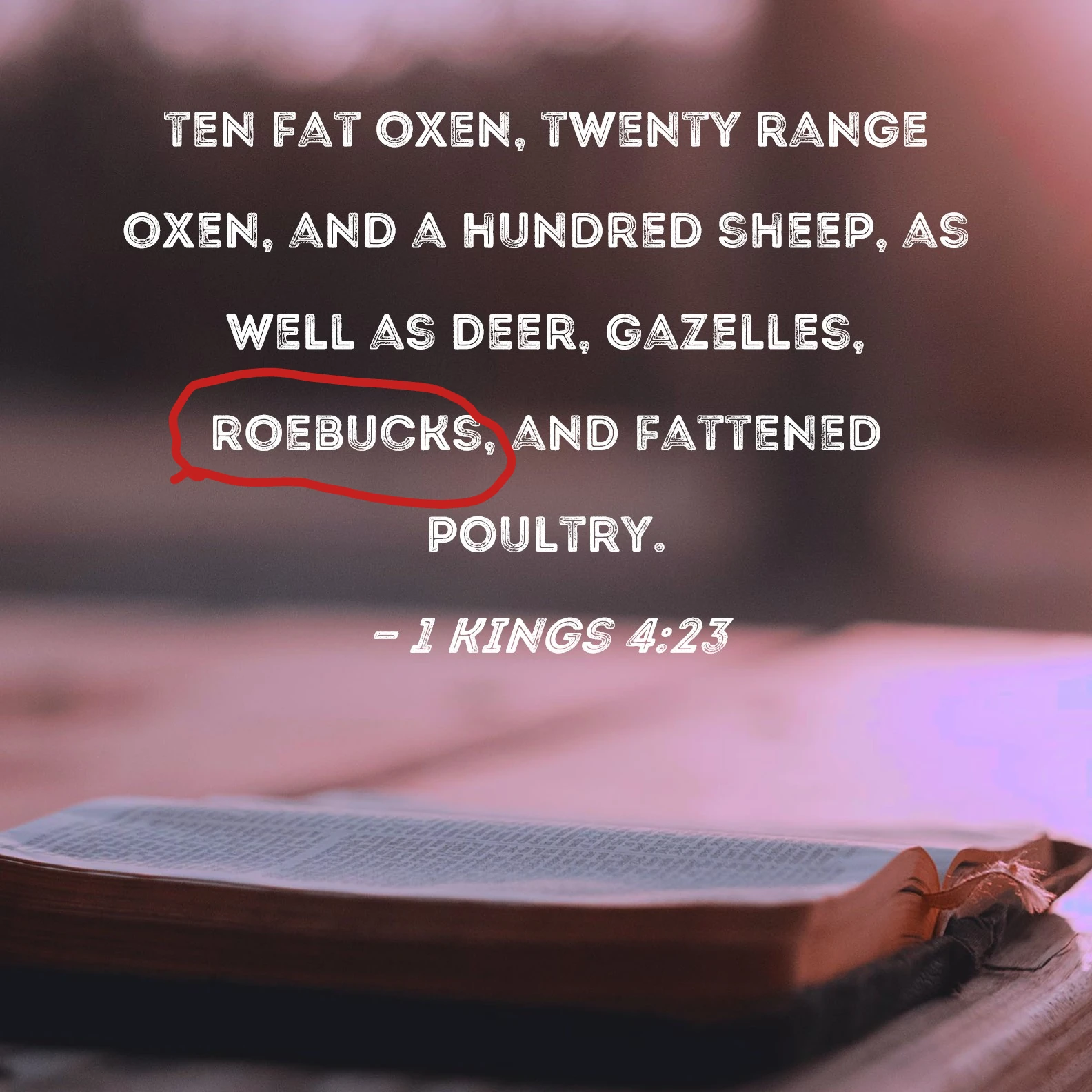 is this a Roblox reference in the Bible? 🤔 | Fandom