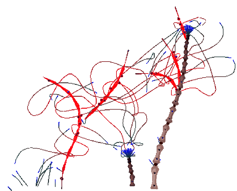 "From the microbes in the processing strata to me, who am, if you ...