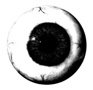 Can you give me the color code for the X/C variants | Fandom