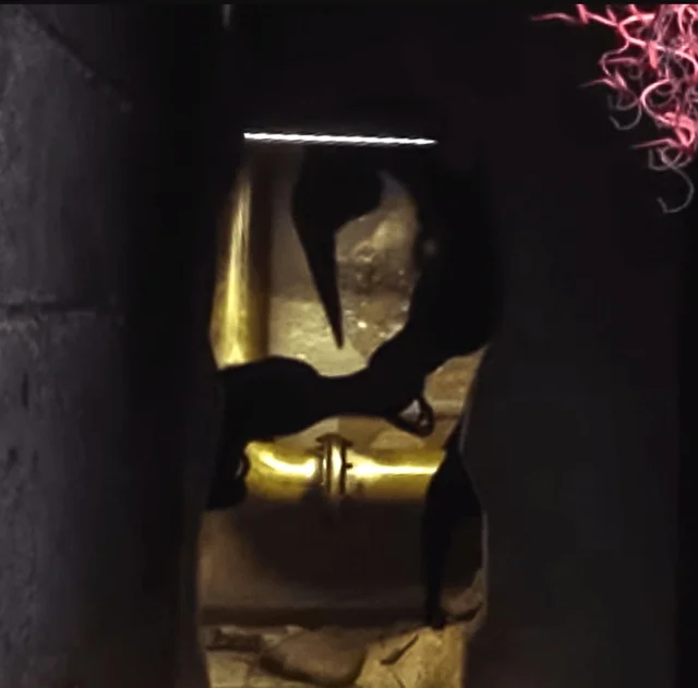 Will The Prototype need our help in Chapter 5? | Fandom