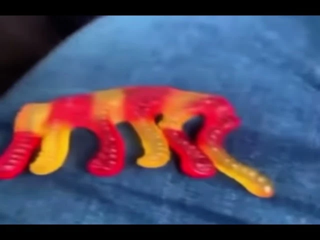 Gummy Elaphant. | Fandom