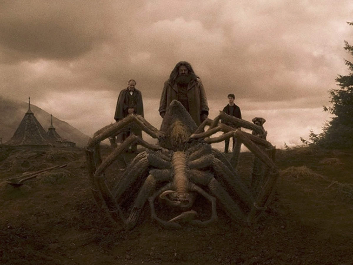RIP Aragog | Fandom