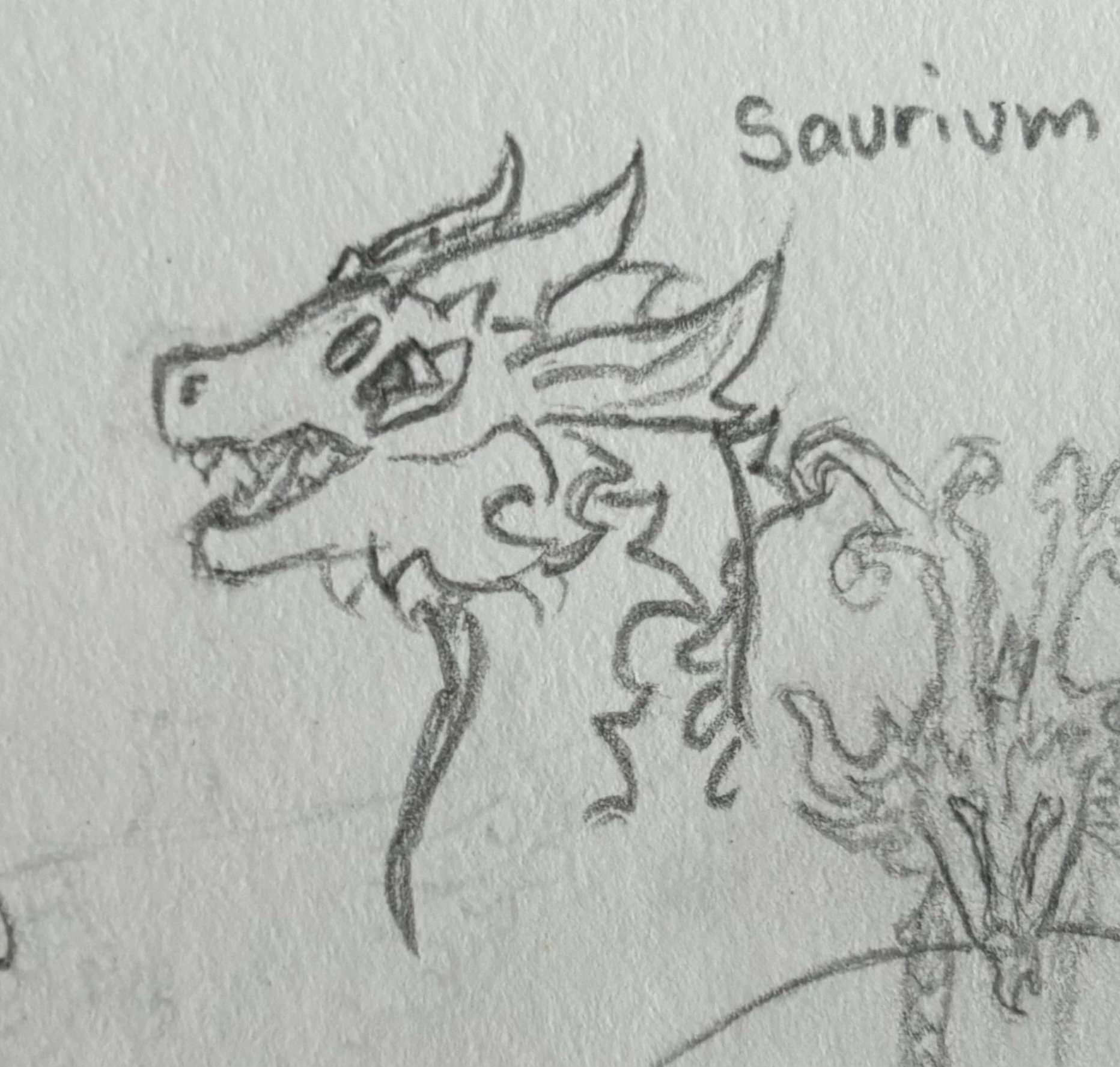 day 7 of drawing DA dragons | Fandom