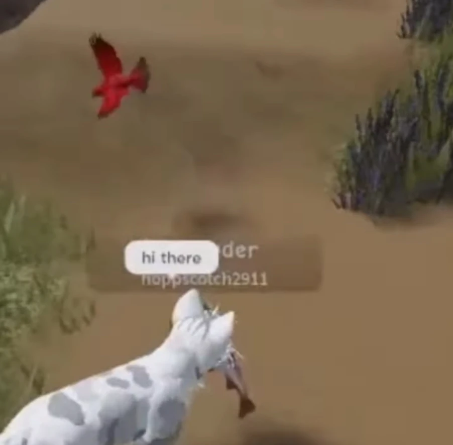 Different kind of bird?? | Fandom