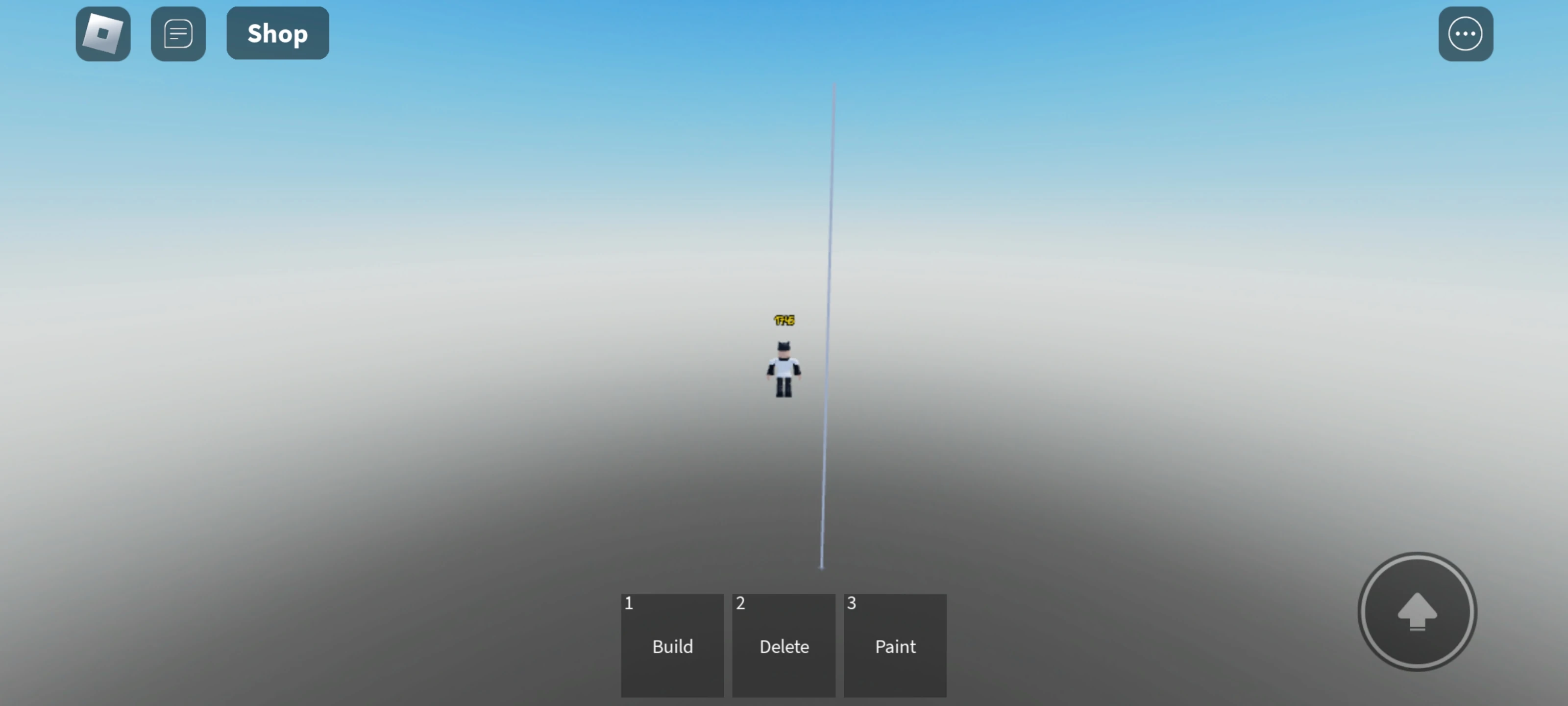 I think my friend genuinely made the tallest tower in the chosen one ...