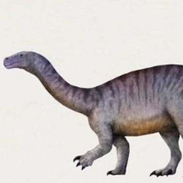 Discuss Everything About Dinopedia | Fandom