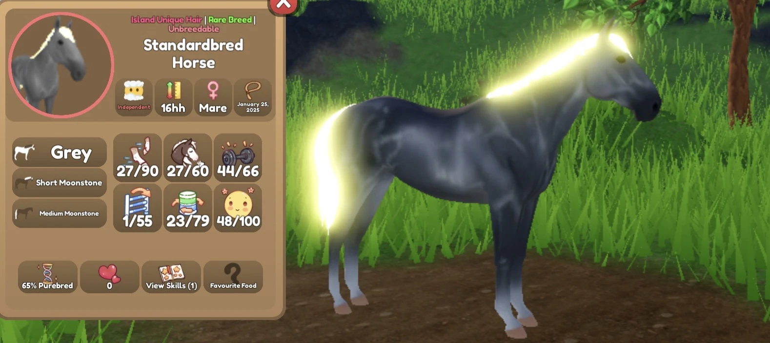 LAO FOR MY GREY MS STANDARDBRED! | Fandom