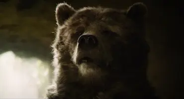 Who is best Baloo | Fandom