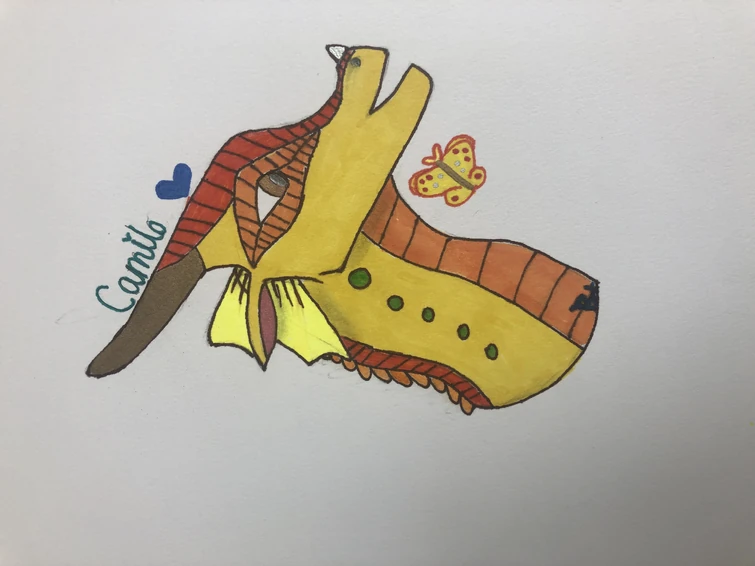 Camilo Dragon