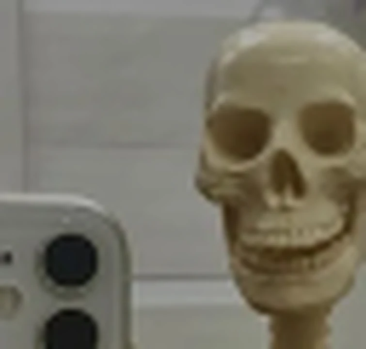 Does Lil bro know | Fandom