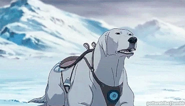 naga vs appa, who would win | Fandom