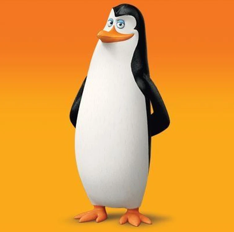 NPG Proposal: Kowalski (Madagascar Series) | Fandom