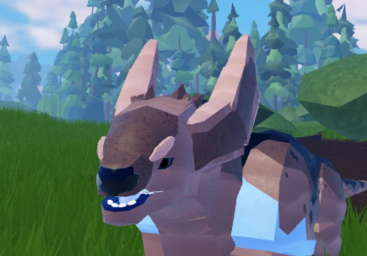 I love molangai run animation | Fandom