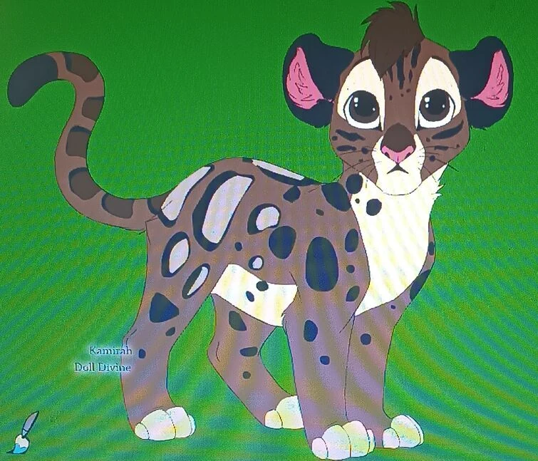 Dariyon Hyche as a Domestic Cat (Savannah X Bengal x Havana Brown x ...