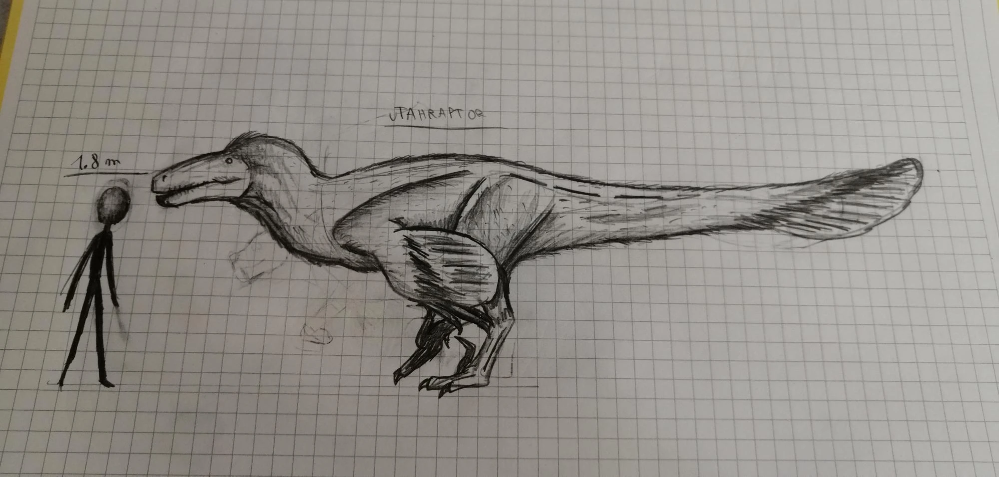 How accurate is my Utahraptor drawing(1-10) (I think this is the most ...