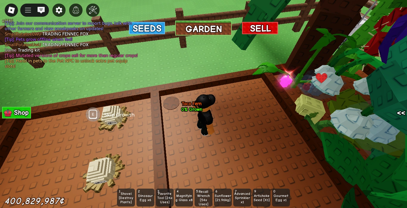 Got a taco fern | Fandom