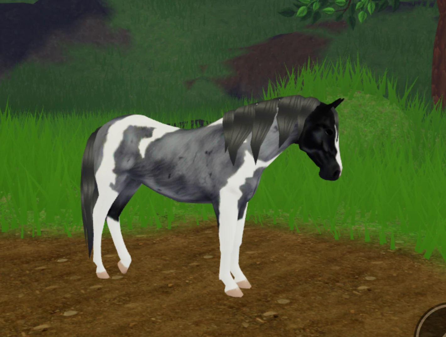 Guess that coat! | Fandom