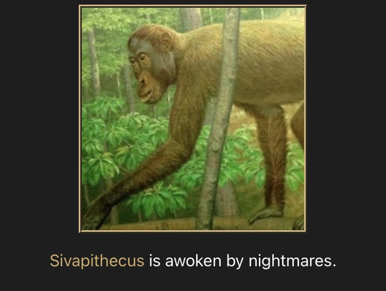 Discuss Everything About Dinopedia | Fandom