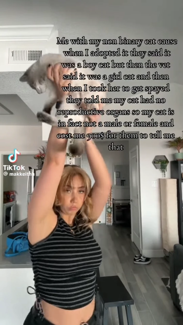 ATTENTION ALL NON BINARY PEEPS | Fandom