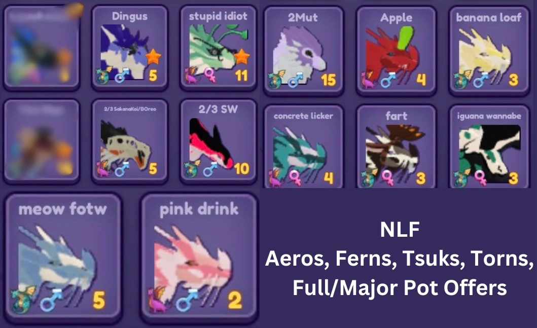 Trading/Swapping More Junk | Fandom