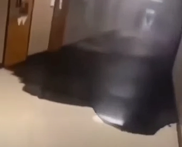 ENPHOSIAN GOO SITED IN FROWNTOWN | Fandom