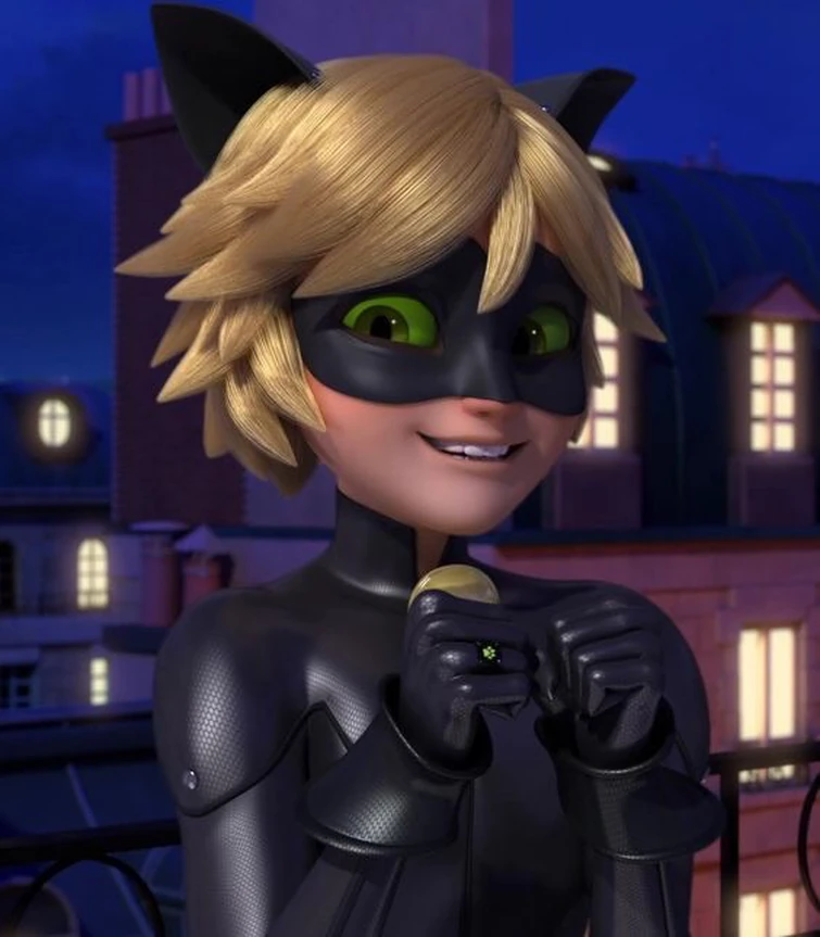 Chat noir smiling to brighten up your day | Fandom