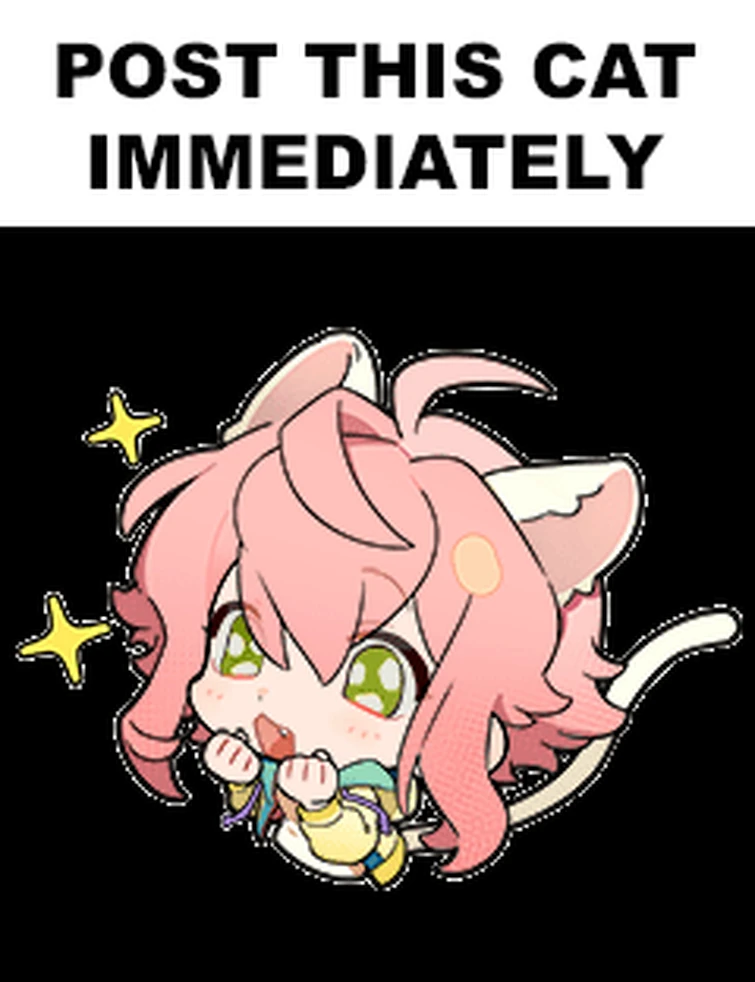 post this cat immediately | Fandom