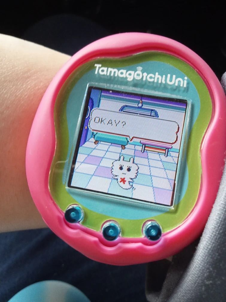 I Had Finally Started Up My Pink Tamagotchi Uni That I Got for My 15th ...