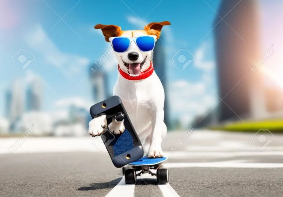 AI Dog with a selfie bfdi mini | Fandom