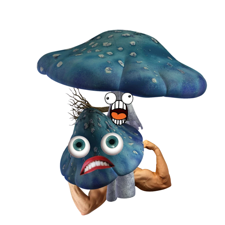 msm will be real in 52 minutes | Fandom