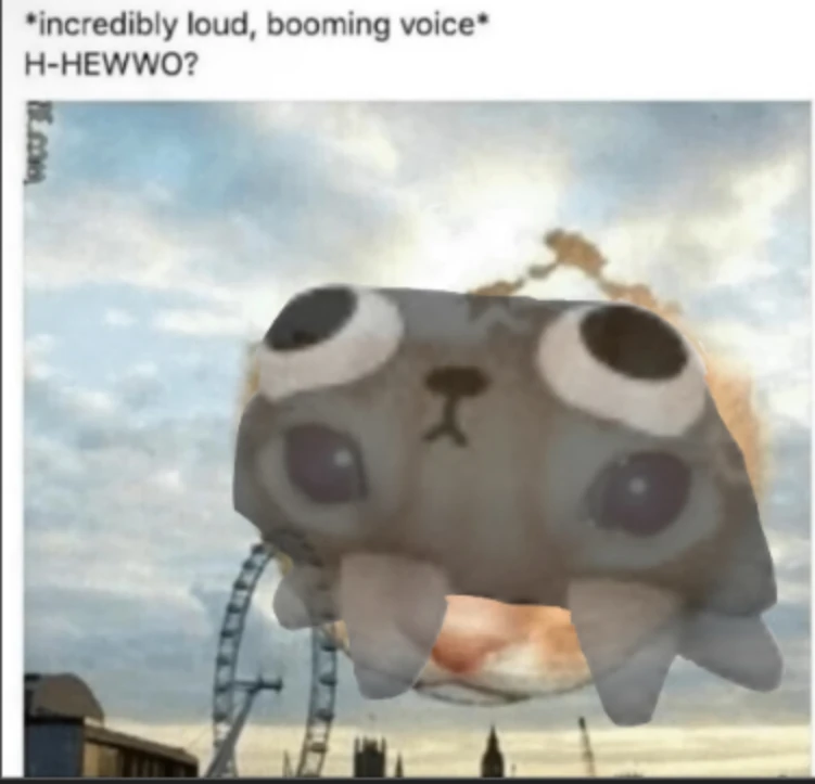 guys I cooked again | Fandom