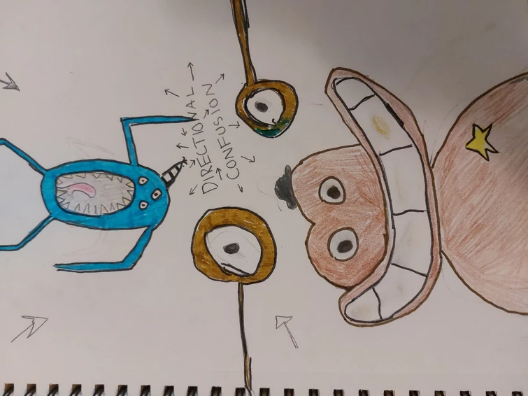 Directional Confusion | Fandom