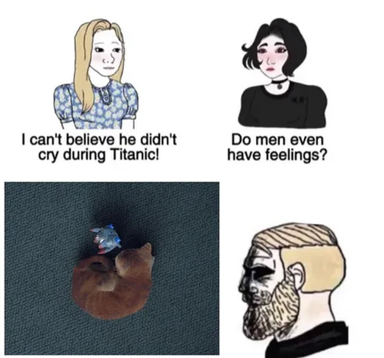 Stray Memes Because Why Not | Fandom