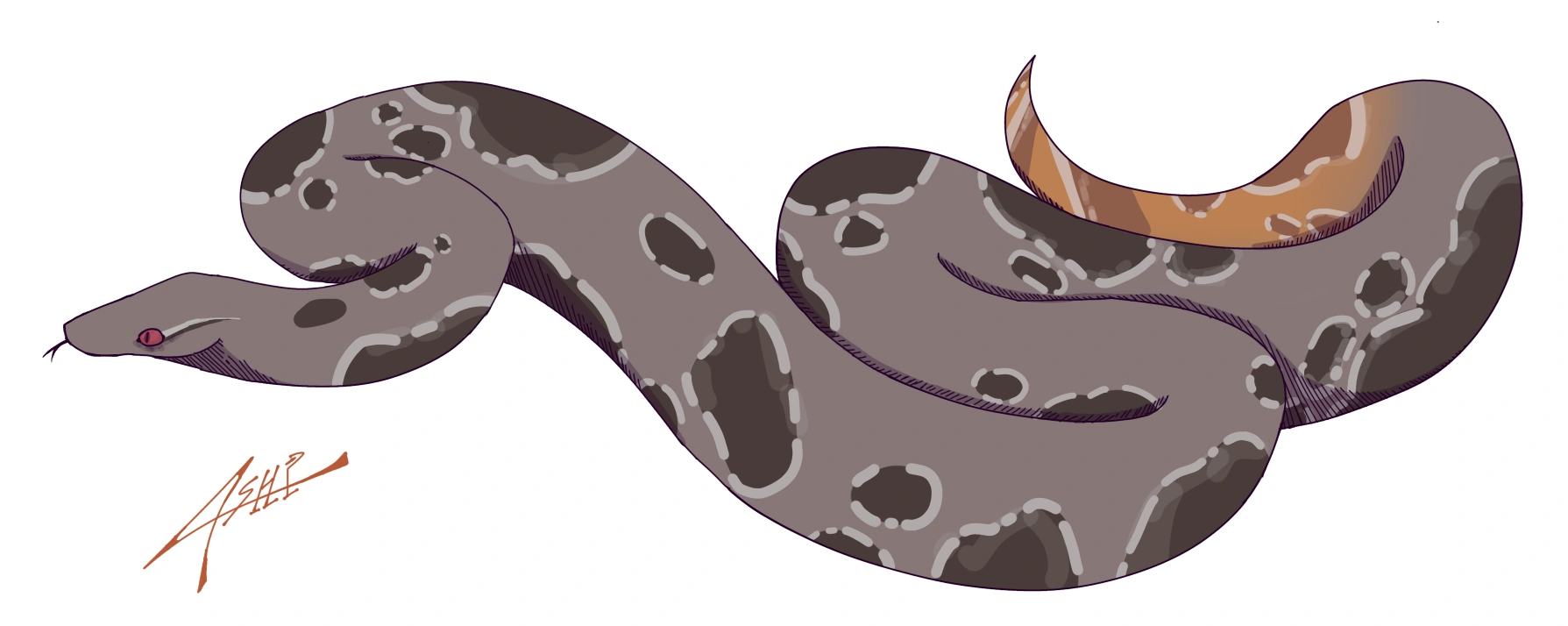 Madtsoia drawing | Fandom