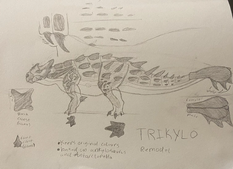 TRIKYLO REMODEL CONCEPT | Fandom