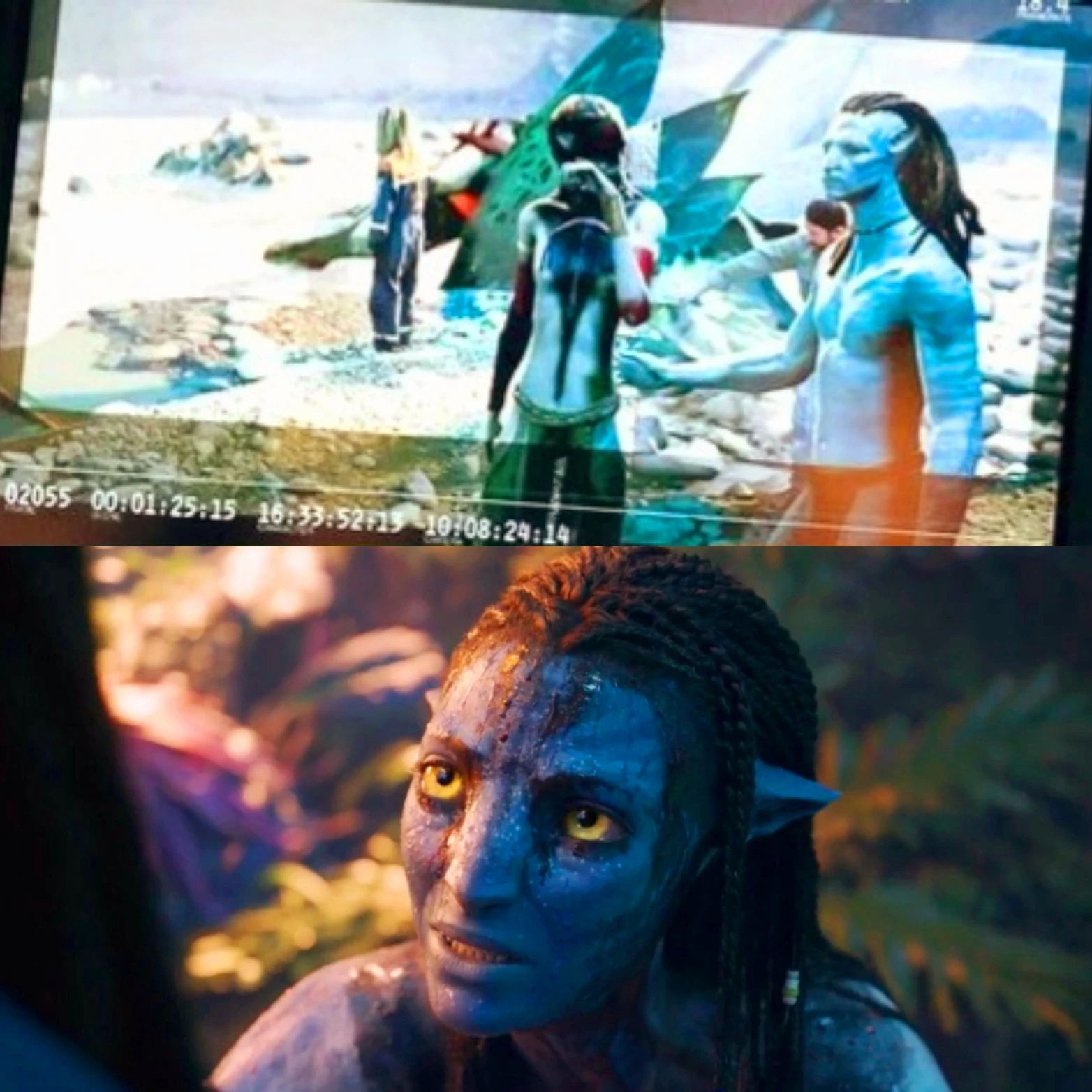 Neytiri's planning on rescuing her children while dressing as the ...