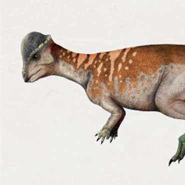 Discuss Everything About Dinopedia | Fandom