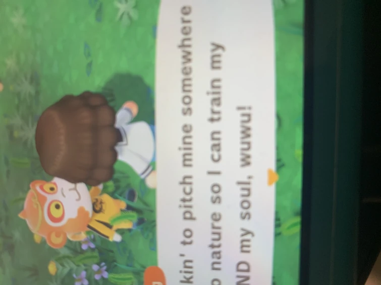 Discuss Everything About Animal Crossing Wiki | Fandom