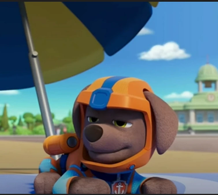 Zuma Falling Asleep | Fandom