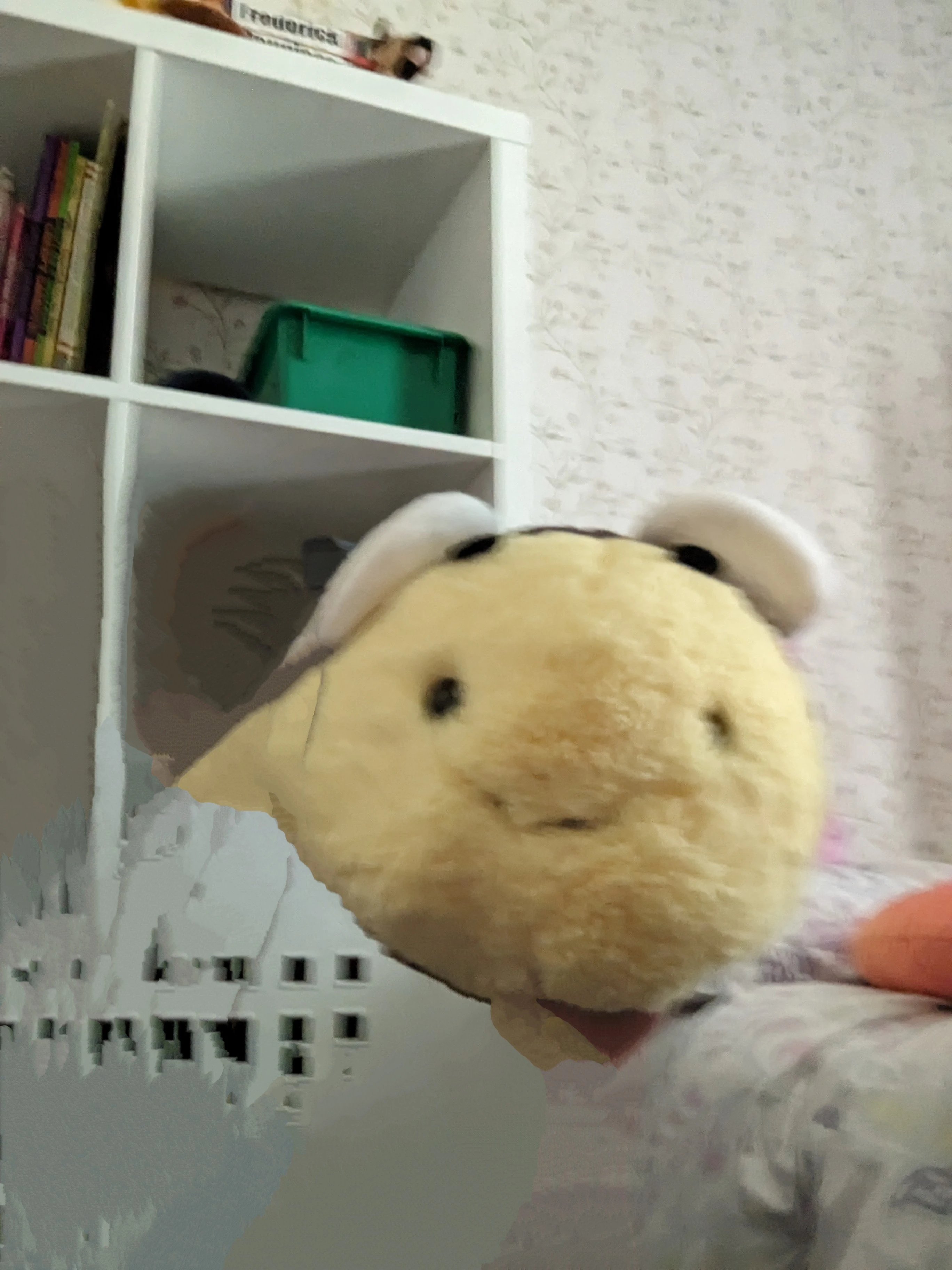 Bro is flying | Fandom