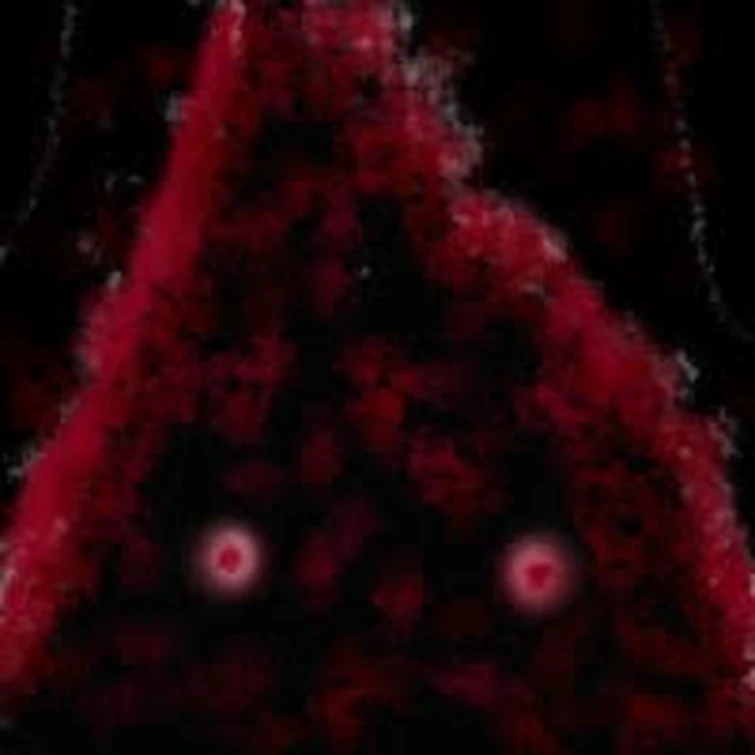 suggest bots for pngpocalypse | Fandom
